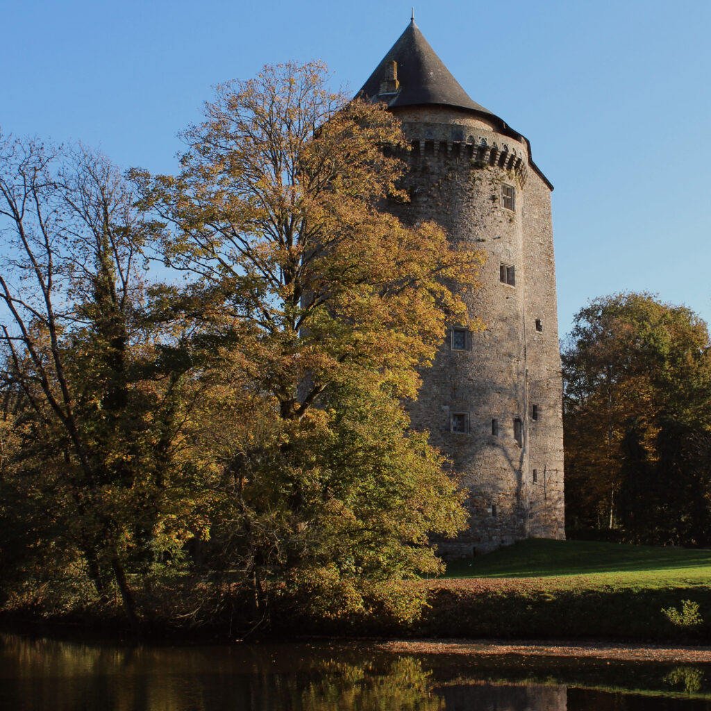 À propos - bruit vert